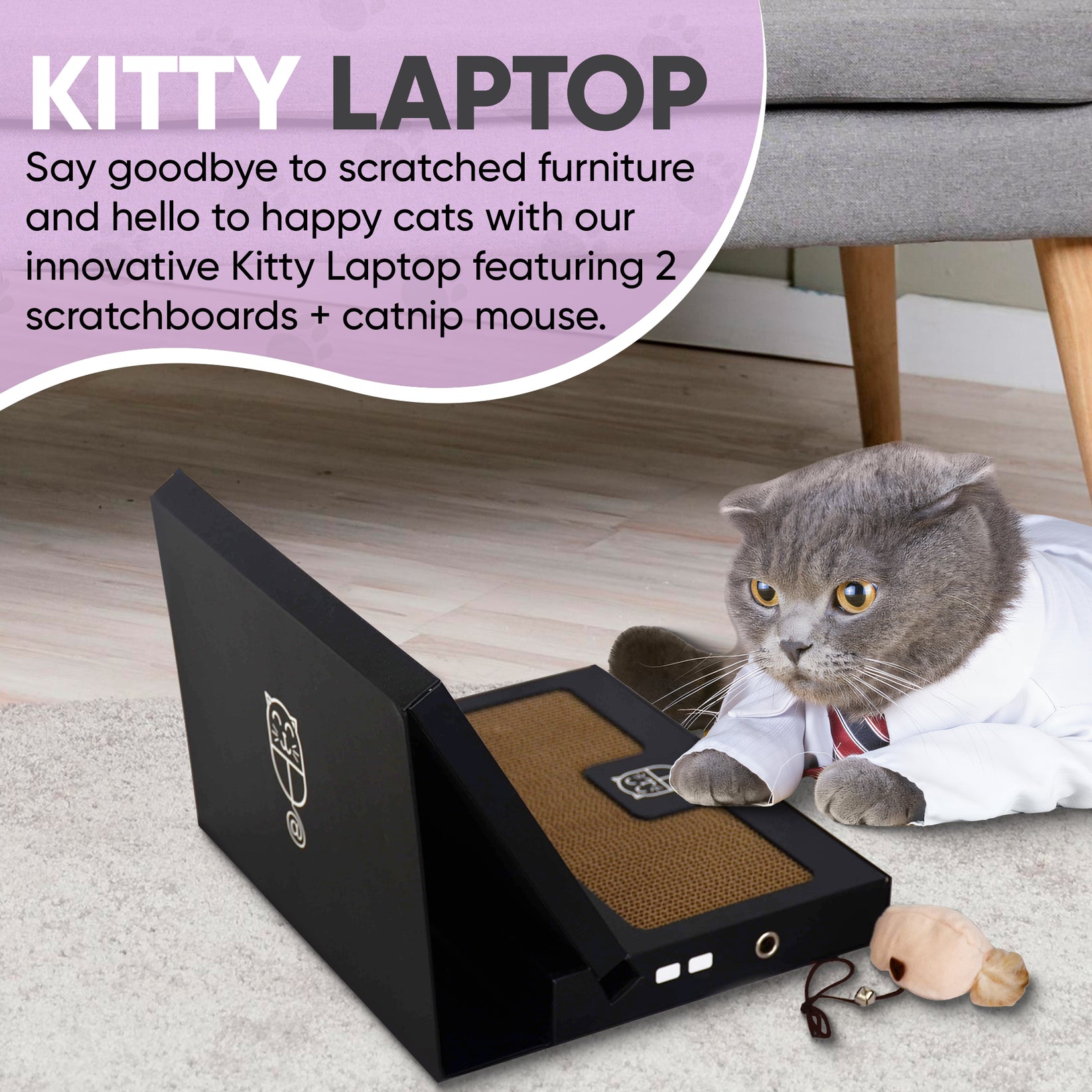 Kitty Laptop - A Laptop for Your Cat