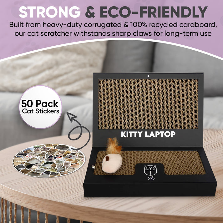 Kitty Laptop - A Laptop for Your Cat